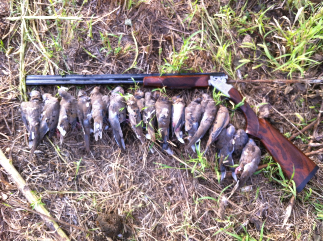 Other Hunting Pictures - Fort Riley - iSportsman