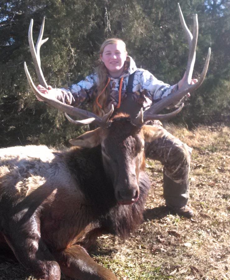 Elk images 2015 & 2016 - Fort Riley - iSportsman