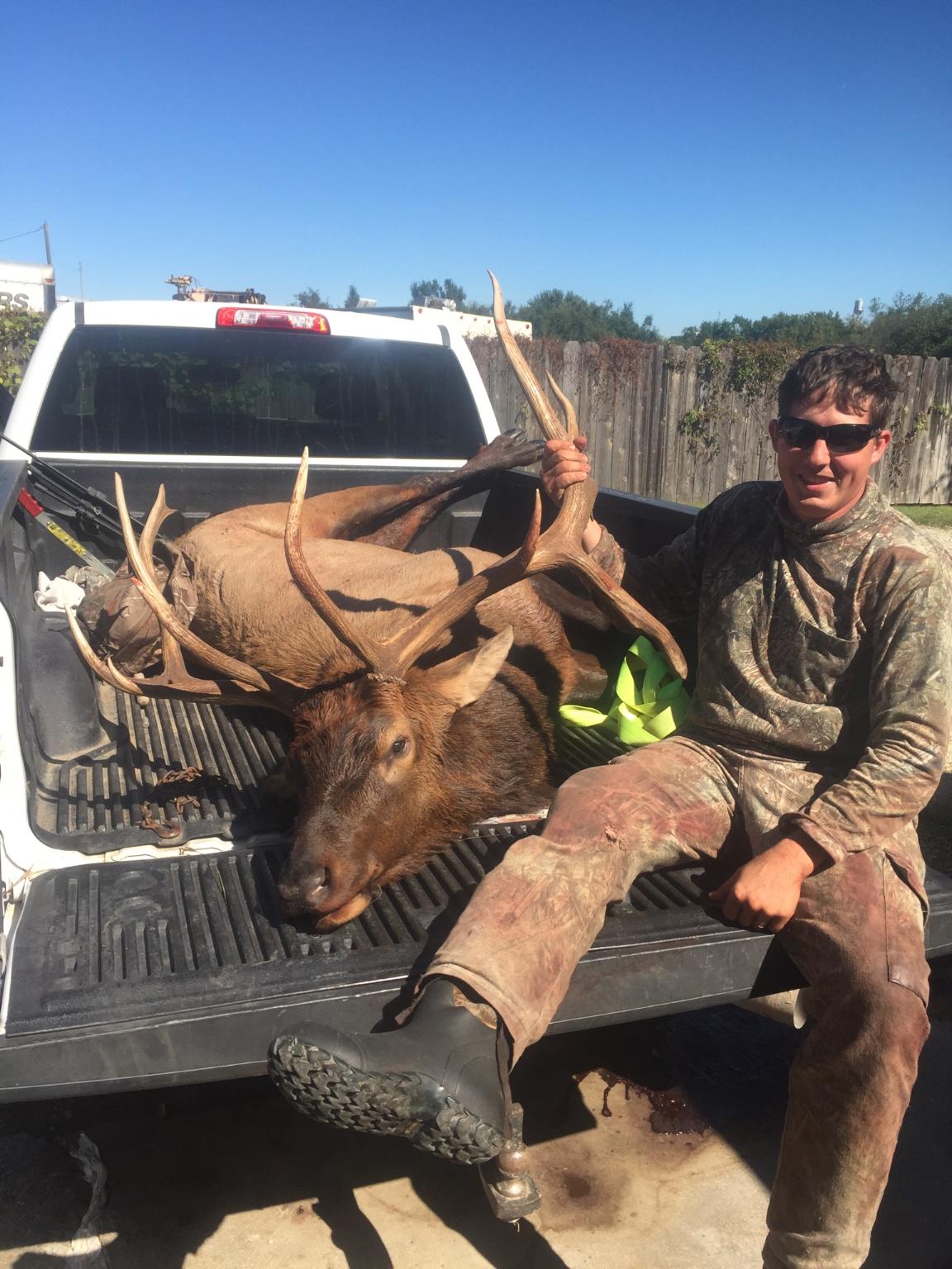 Elk images 2015 & 2016 - Fort Riley - iSportsman
