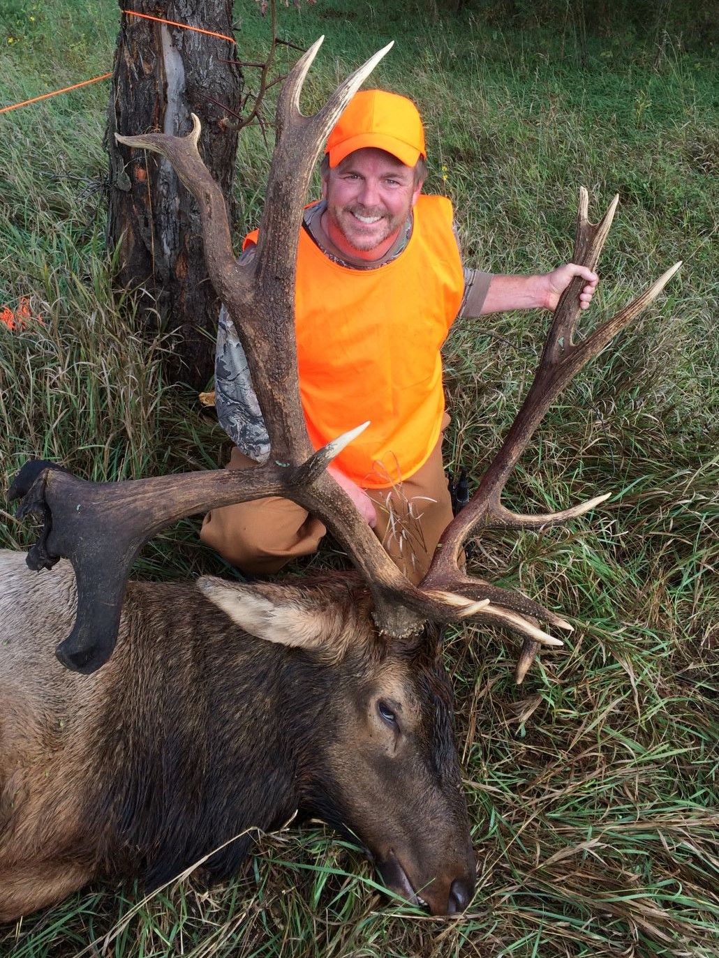 Elk images 2017-2020 - Fort Riley - iSportsman