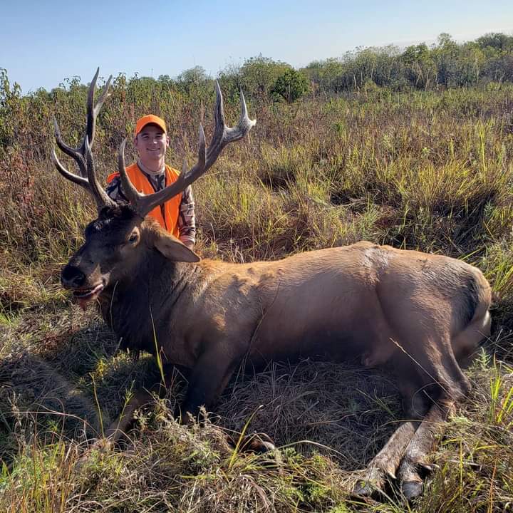 Elk images 2017-2020 - Fort Riley - iSportsman